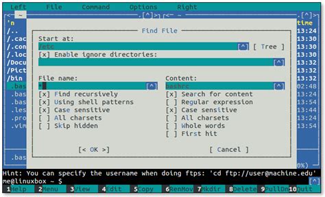 Linux Command Line Adventure Midnight Commander