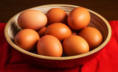 Discover The Rainbow Colorful Chicken Egg Varieties Gubba Homestead