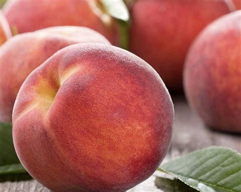 PeachORama Metropolitan Market