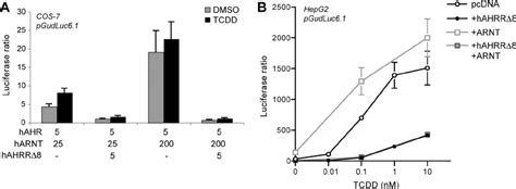 Effect Of Arnt Overexpression And Increasing Tcdd Concentrations On The