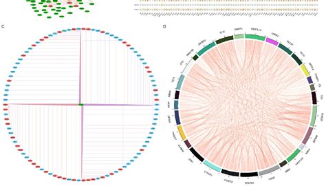 Figure From Identification Of Cross Talk Between M A M C Regulators