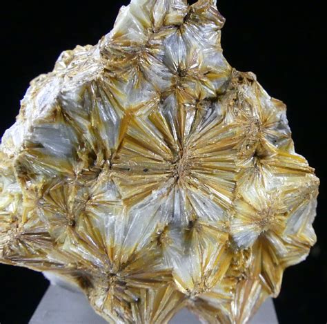 E Rocks Mineral Auctions