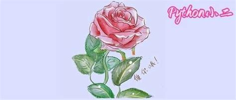 最强Python表白代码来了 知乎