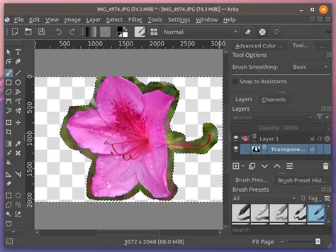 Krita Transparent Background Mysterymasa