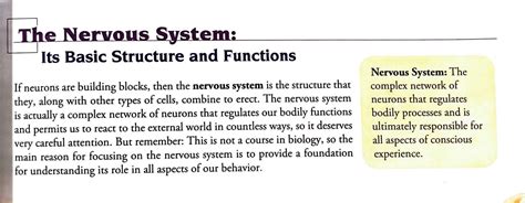 SOLUTION Basic Structure And Function Of Nervous System Studypool