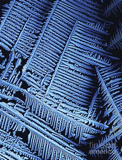 Oestradiol Female Sex Hormone Plm 3 By Science Photo Library