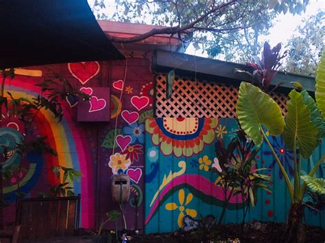 2025年3月bingil Bay旅游景点攻略 Bingil Bay旅游住宿 Bingil Bay旅游美食 猫途鹰