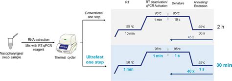 Frontiers An Ultrafast One Step Quantitative Reverse TranscriptionPolymerase Chain Reaction