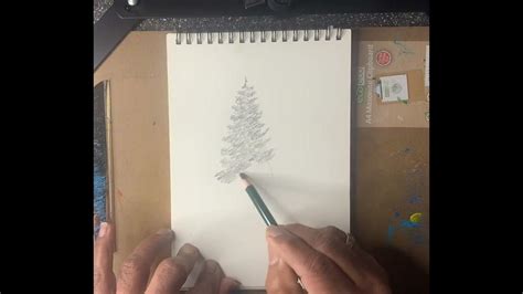 How To Draw Pine Tree Step By Step Youtube
