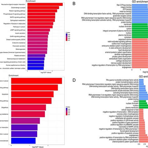 Bioinformatics Analysis Of Hypermethylated Position Associated Genes Download Scientific