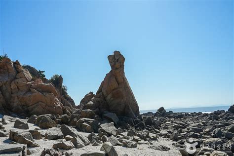 인천 중구 영종도 등 여행지