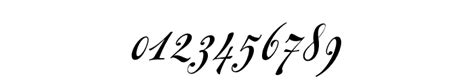 leander script pro bold font script decorative what font is
