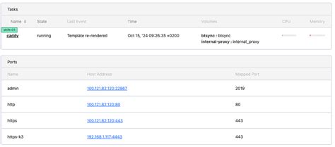 nomad host address mapping doesn t work as shown in nomad web ui