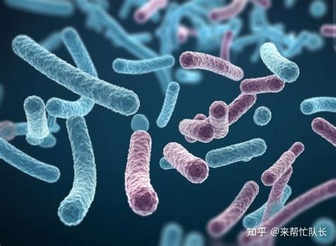 腹膜炎，可与病原体感染、物理损伤、化学刺激有关？如何预防呢？ 知乎