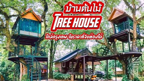 ที่พักบ้านต้นไม้ ริมธารรีสอร์ท จ นครนายก Zcamp6845 Youtube