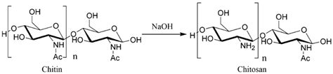 Chitosan Based Biodegradable Composite For Antibacterial Food Packaging Application