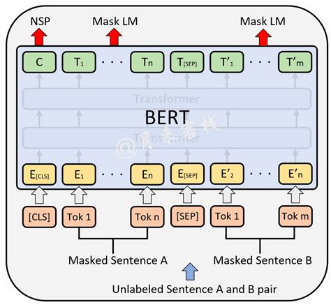 bert笔记 bert堆了几层 csdn博客