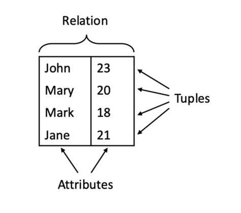 Databases And Interfaces Lecture 2 Flashcards Quizlet