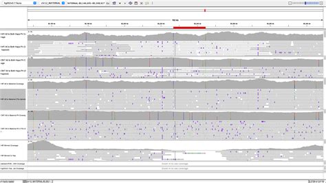 Issue Chr12maternal80226830 80244525 · Issue 383 · Marblhg002