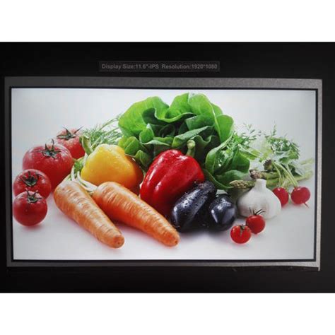 China 11 6 Inch IPS Type TFT LCD Display Module With Resolution 1920 1080 On Global Sources LCD