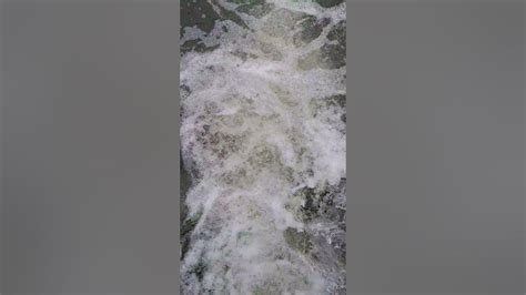 설날🫶🫶복 굴러오는 속도와 복 넘치는 양이셨음 해서 찍어 봤어요영상 봐주셔서 감사합니다 ♡♡♡ Youtube