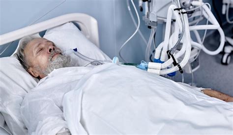 Infection Sepsis Continuum Impact Of Endothelial Dysfunction And Innate Immunity Hyper