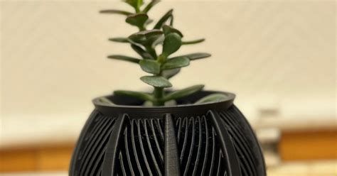 Plantpot Ii By Nsb156 Download Free Stl Model