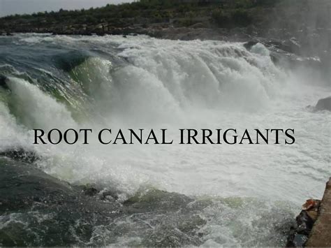 Root Canal Irrigationpptx