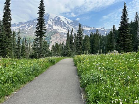Quick And Easy Guide To Hiking In Mount Rainier Were In The Rockies