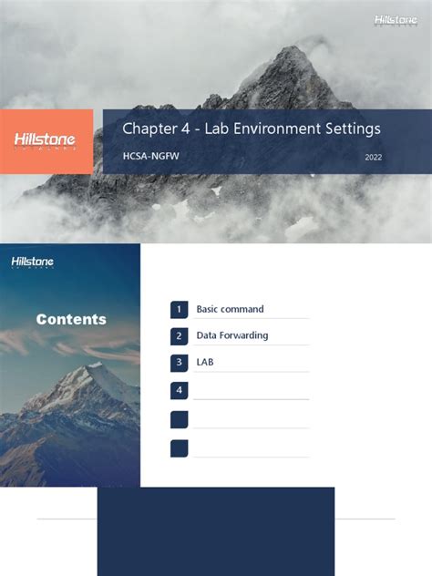 chapter 4 lab pdf