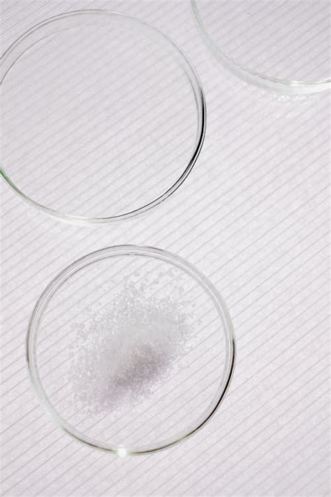 객관적인 건강 견본 공부하다 과학 과학 실험 과학적 분석 과학적 연구 과학적인 방법 관찰 깨끗한 유리 머리 위로 멸균 된 물질 미생물학 바로 위