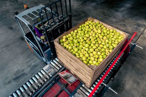 Sorting Apples Codrust