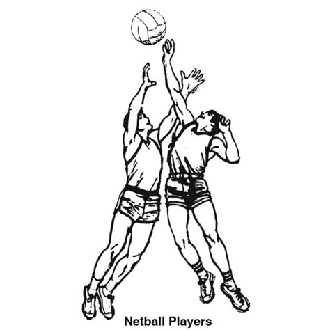 The Best Free Netball Drawing Images Download From 37 Free Drawings Of Netball At GetDrawings