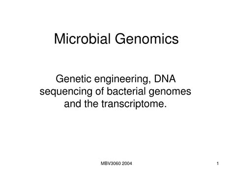 Ppt Microbial Genomics And Genetic Engineering Lecture 2004 Powerpoint