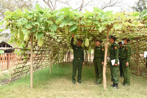 ဒေသတွင်းစိုက်ပျိုး၊ မွေးမြူရေးနှင့် ကုန်ထုတ်လုပ်ငန်းများ ရာနှုန်းပြည့် ဆောင်ရွက်နိုင်ရေး စိုက်ပ