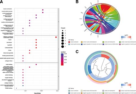 Graph Showing The Enrichment Analysis Results A Bubble Plot Of Go