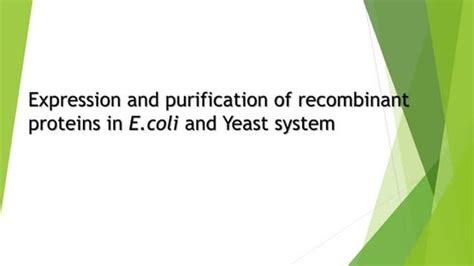 Structure Types And Function Of Rna Pptx
