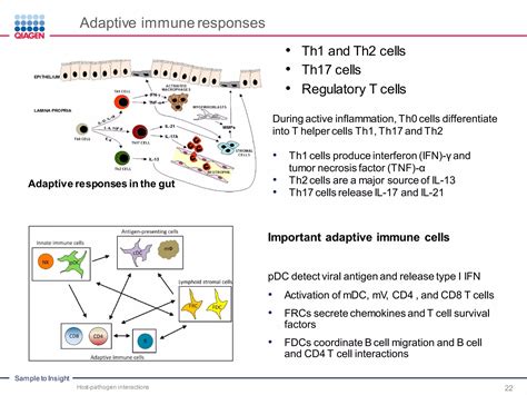 Host Pathogen Interactions Molecular Basis And Host Defense Pathogen