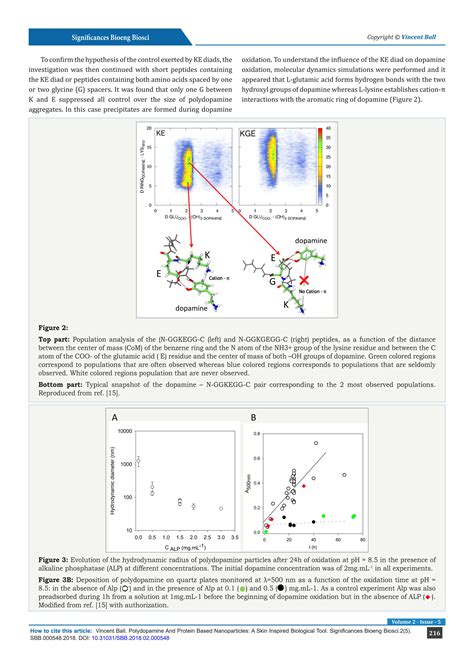Polydopamine And Protein Based Nanoparticles A Skin Inspired