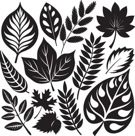 Exquisite Botanical Black Patterns 54650929 Vector Art At Vecteezy