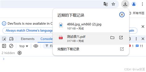 vue 实现通过url浏览器本地下载 pdf 和 图片 vue 下载pdf csdn博客