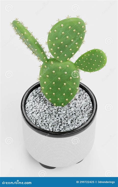 3d Render Of Opuntia Cactus Stock Illustration Illustration Of