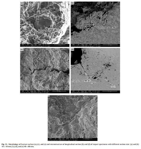 Morphology Of Fracture Surface A C And E And Microstructure Of
