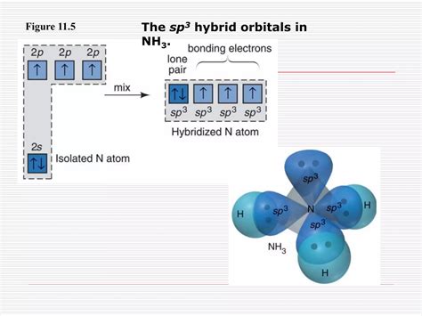 9 Hybrid Orbitals Ppt