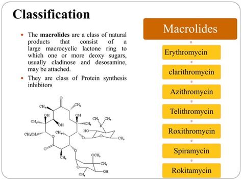 Macrolides Pptx