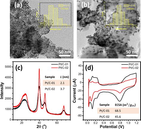 Correlation Between Structural Characteristics And Ecsa Of Two Typical