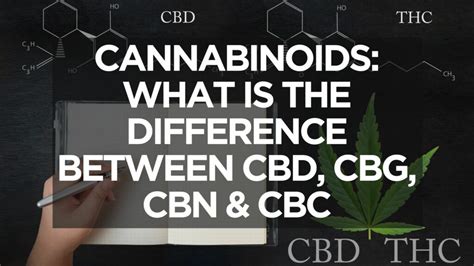 What Is The Difference Between CBD CBG CBN CBC FluxxLab
