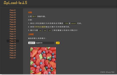 upload labs靶场 pass 14 upload labs pass14 csdn博客