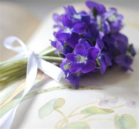 Букет из фиалок (80 фото)