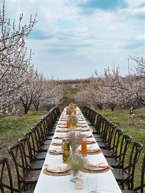 Made In Armenia Made In Armenia Added A New Photo